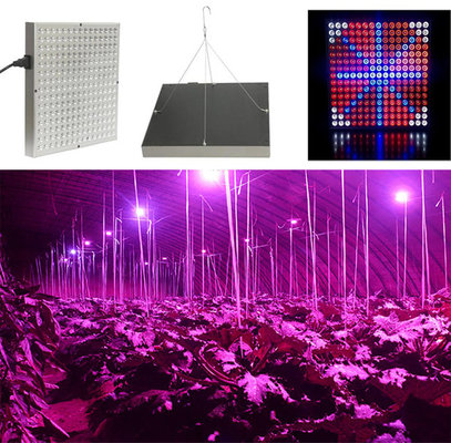 45 W Full Spectrum LED Grow Lights For Hydroponics , 50～60Hz Frequency