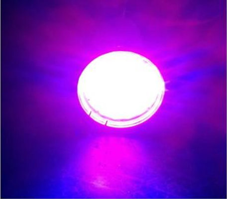 E27 Led Full Spectrum Grow Lights 120 W With Epistar Chip , 3 Years Warranty