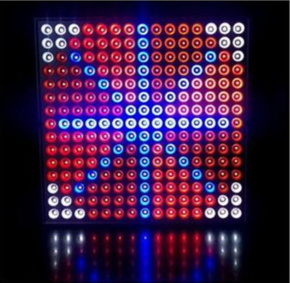 45 Watts Grow Light Hydroponic LED Grow Light 35W Square Panel With Color Red & Blue