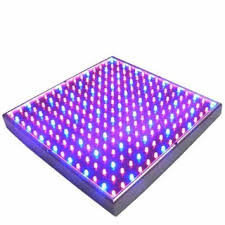 Full Spectrum SMD Indoor LED Grow Lights 50 Watt For Breeding / Farmland , 315x310mm