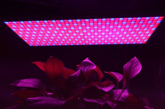 120W Led Hydroponic Grow Lights IP65 , Led Indoor Garden Lights 300*600mm