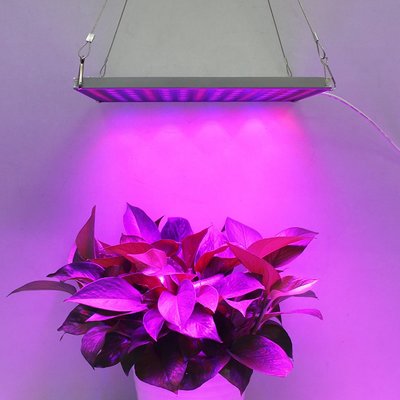 58 Watt Full Spectrum LED Grow Lights For Greenhouses / Gardens , ABS Material