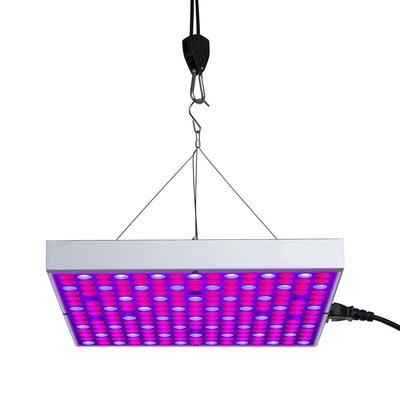 Dimmable Waterproof Grow Lights With Power Cord , Indoor Plant Grow Lights