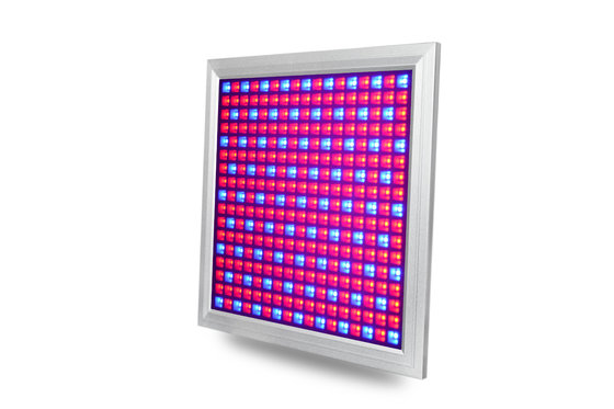 Hydroponics Indoor Plant Lights 58W Dimmable Waterproof Grow Lights for Weed