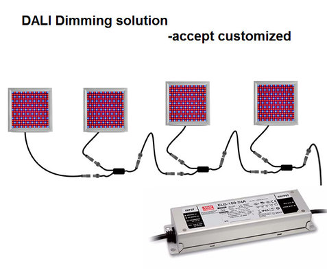 DALI Dimming Indoor Plant Grow Lights HPS Equivalent For Vertical Farm