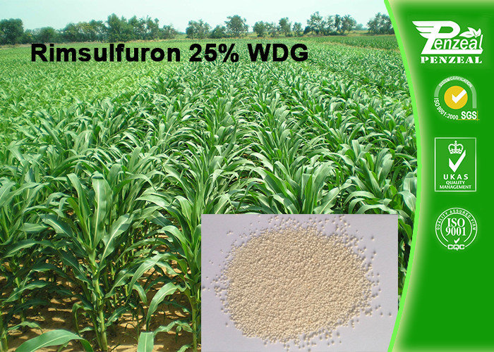 Rimsulfuron 25% WDG Selective Weed Killer For Lawns / Selective Herbicide For Maize