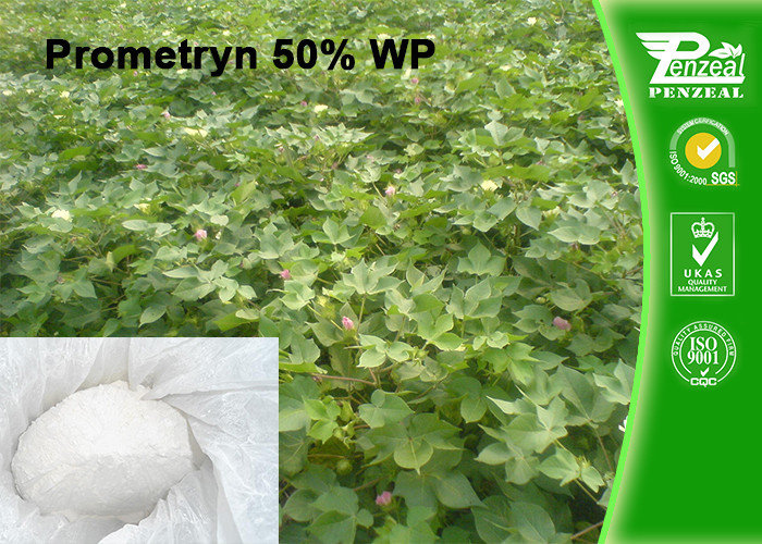 Cas 7287-19-6 Prometryn 50% WP Garden Weed Killer Selective Systemic Herbicide