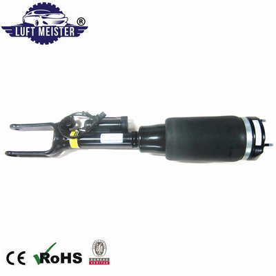 Shock Strut for Mercedes W251 R Class R280 R300 R350 R500 R550 2513203013 2513203113 supplier