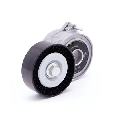 06e903133t High Quality Chain Tensioner Replace Belt Tensioner Pulleytiming Chain Tensioner For Audi Q7 supplier