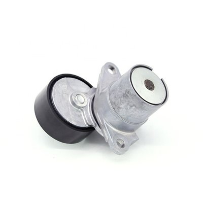 06k903133a g Custom Professional Automatic Auto Alternator Belt Tensioner For Audi A4l supplier