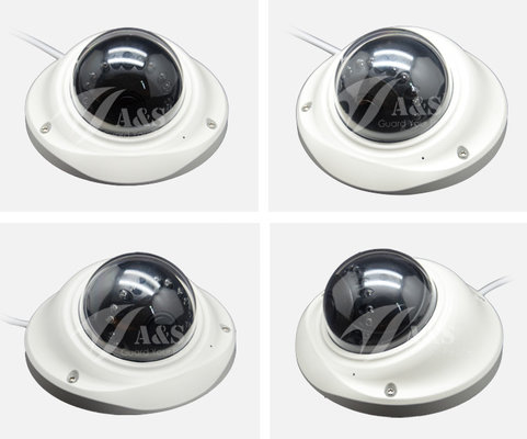 1/3 SONY CCD 700TVL Vandalproof Night Vision Dome Camera