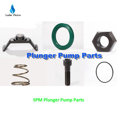 TWS600S plunger pump parts
