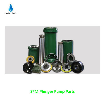 TWS600S plunger pump parts