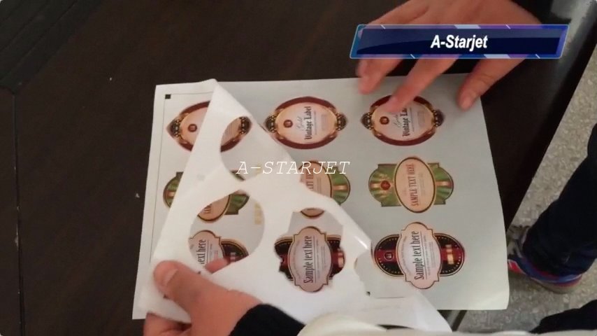 Auto Sheet Fed Cutter for Sticker Label For Any Shape without Die with 110V/220V