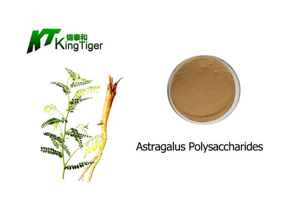 Herbal Astragalus Root Extract , Polysaccharide Powder Heals Wounds 95% Pass 80 Mesh