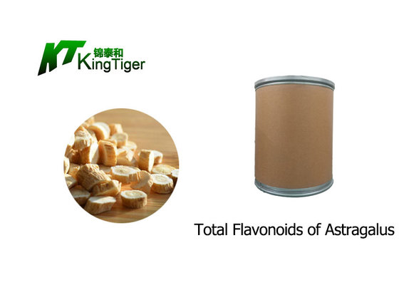 Anti - Cancer Herbal Astragalus Extract Powder Brown To Yellow Fine Powder