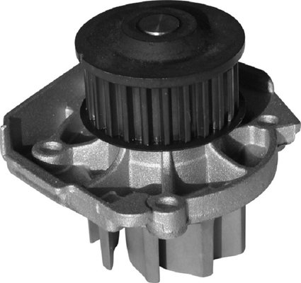 OEM 55204538 Vehicle 12 Volt Auto Water Pump P1201 FIAT Car Water Pump