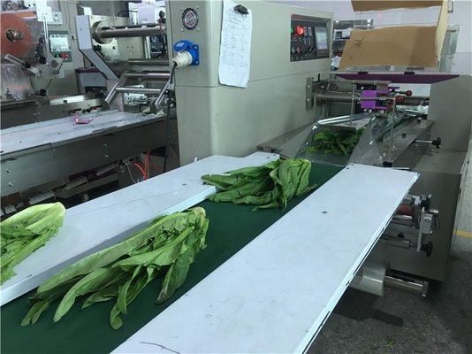 Packing machine for food pillow bag fresh vegetable flow wraping machines TCZB-600X