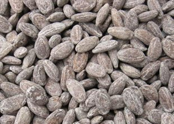 sauce packing machine auto sauce packing machine pepper sauce packing machine sauce packing machinery supplier