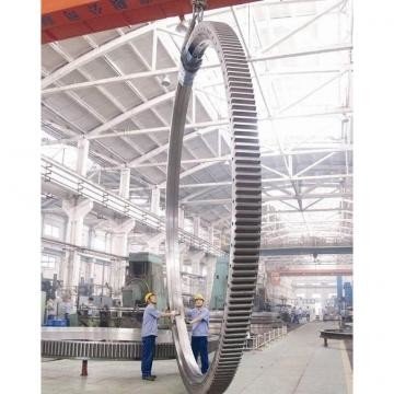 IMO Ball Slewing Ring Bearings