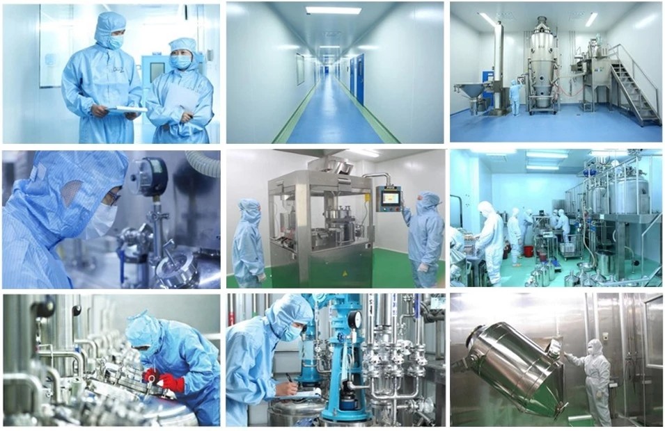 XIAN CHUKANG BIOTECHNOLOGY CO.,LTD factory production line