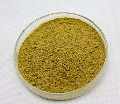 Natural Plant Extract Powder Horse Chest Nut P.E. Horse Chest Nut Extract Natural Herb Powder