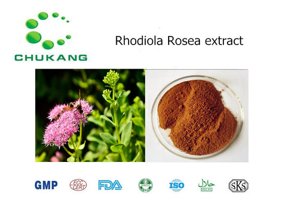 Herbal ingredients Rhodiola Rosea Extract Organic herbal Rhodiola rosea L