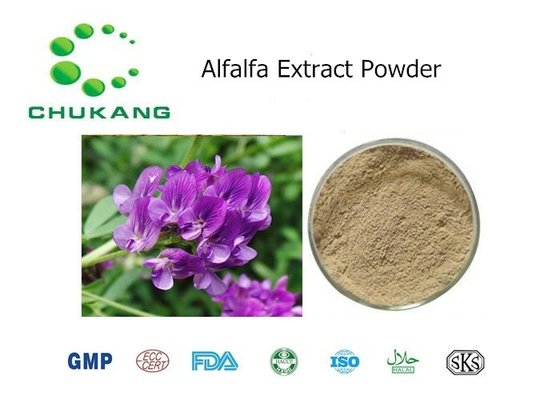 Pure Nature Ratio Extract Alfalfa Extract Alfalfa Flavonoids Inhibit Microvascular Proliferation