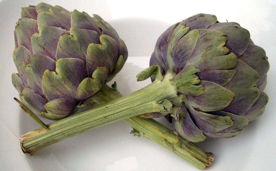 Natural Ingredients Artichoke Extract Powder 2.5% 5% Cynarin