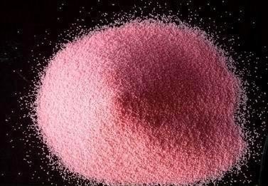 Food Ingredients Strawberry Powder Fragaria × ananassa Duch.