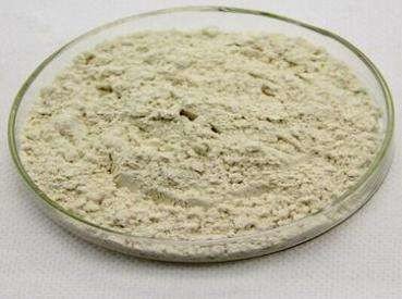 Organic Herbal Guava Powder Psidium Guajava Linn Herbal Extract