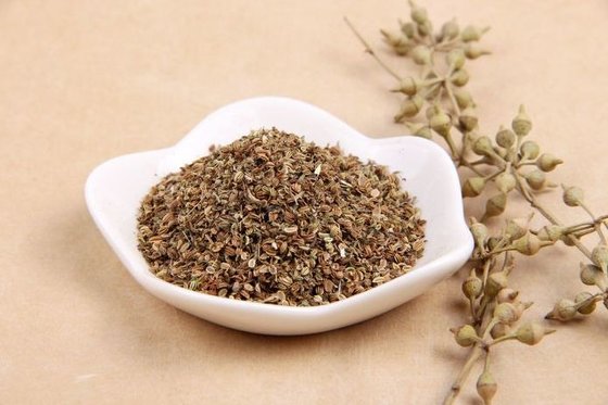High Purity Fructus Cnidii Extract Powder CAS 484 12 8 Osthole Purity Powder