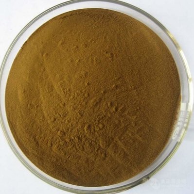 High Purity Fructus Cnidii Extract Powder CAS 484 12 8 Osthole Purity Powder