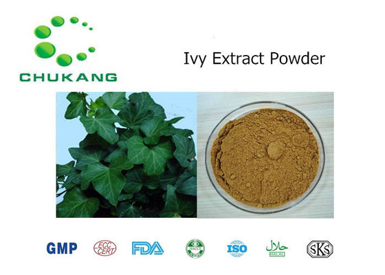 Ivy Extract Plant Extract Powder Hedera Helix Organic Herbal Powder