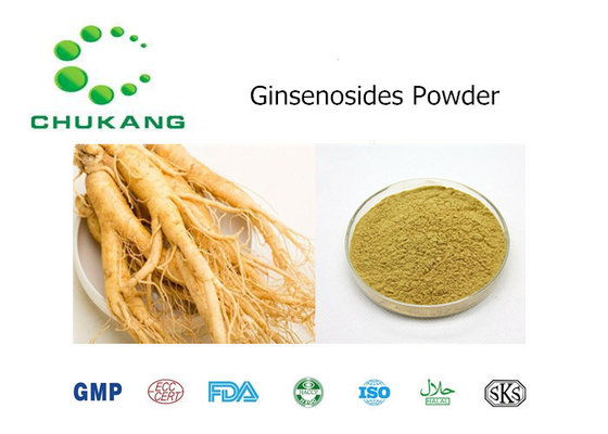 Panax Ginseng Plant Extract Powder Ginsenosides Natural Ingredients Yellow Brown Powder
