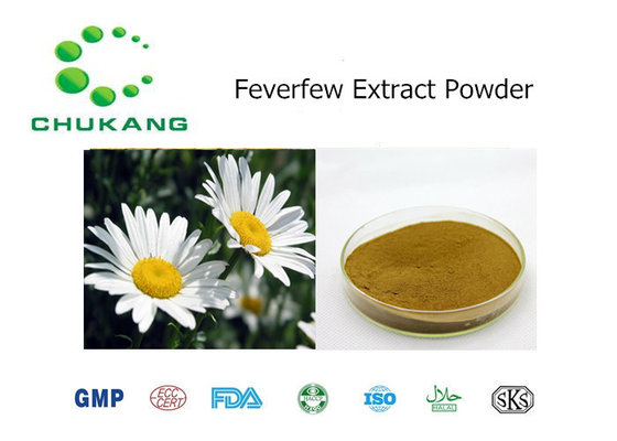 Feverfew Extract Parthenolide Plant Extract Powder Chryanthemum Parthenium
