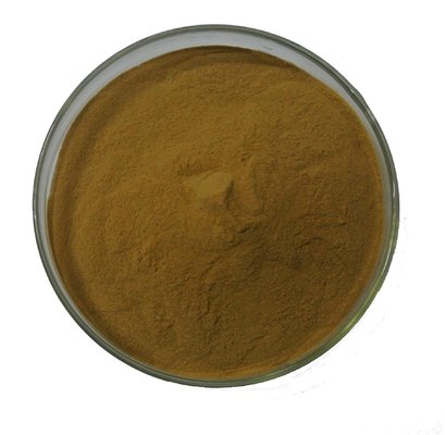 Organic Herbal Powder Bupleurum Extract Bupleurum Chinensis DC.