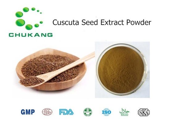 Cuscuta Seed Extract Powdered Herbal Extracts Herbal Ingredients