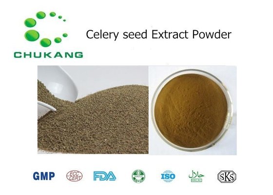 100% Natural Celery Seed Extract Lowering Blood PressureLowering Blood Fat