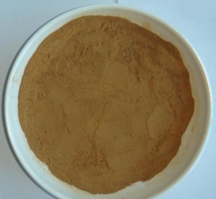 Cnidium Extract Herbal Extract Cnidium monnieri（L.）Cuss.