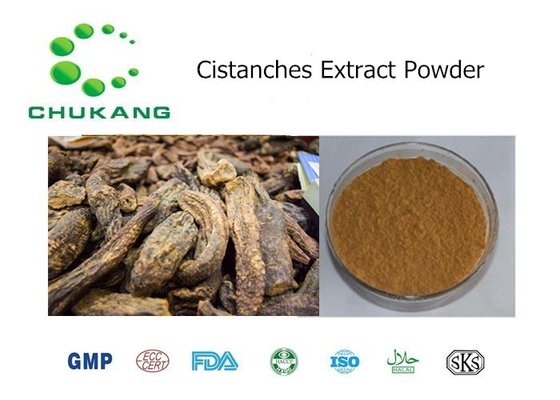 Cistanches Extract Powdered Herbal Extracts Water Soluble Components