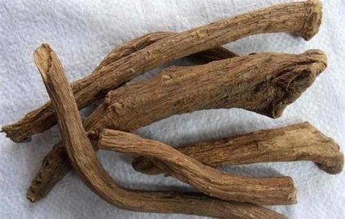 Elecampane Extract Antiasthmatic And Antitussive Effects Pure Nature