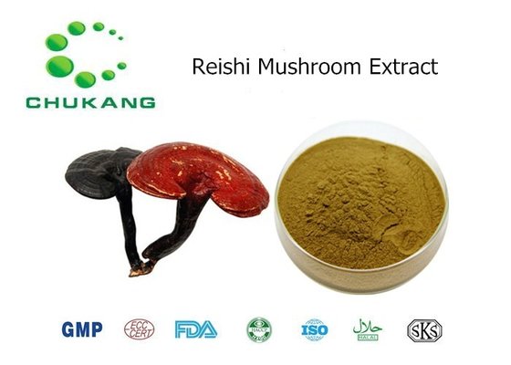 Organic Herbal Powder Reishi Mushroom Extract Ganoderma Lucidum
