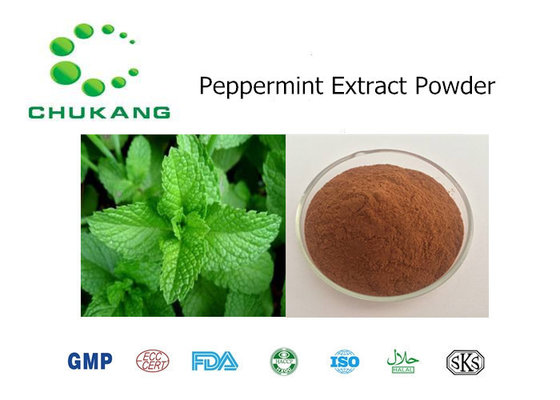 Peppermint Plant Extract Powder Menthol Mentha piperita L. CAS 89 78 1 
