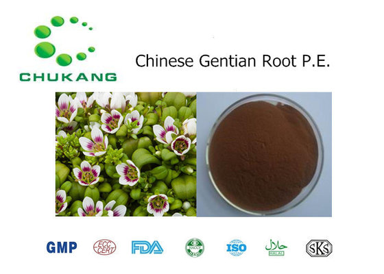 Nature Extract Chinese Gentian Root Extract Gentiana scabra Bge. Pure Powder
