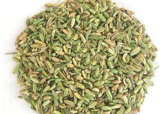Sweet Fennel Extract herbal Medicines For The Treatment Of Indigestion.