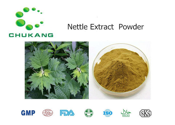 100% Natural Nettle Root Extract Medicinal Herbs Nettle Root Extract