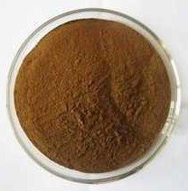 Pine Bark  Plant Extract Powder Proanthocyanidins CAS 20315 25 7