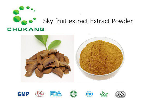 Sky Fruit Extract / Fructus Swietenia Macrophylla Has The High Protein Low Sugar Low Fat High Vitamin