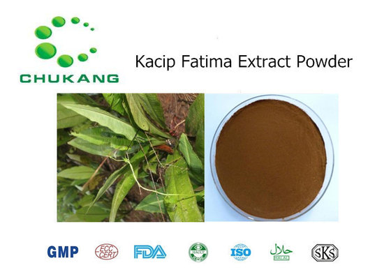 Import Nature Herbal Powder Kacip Fatima Extract Kacip Fatimah Plant Extract